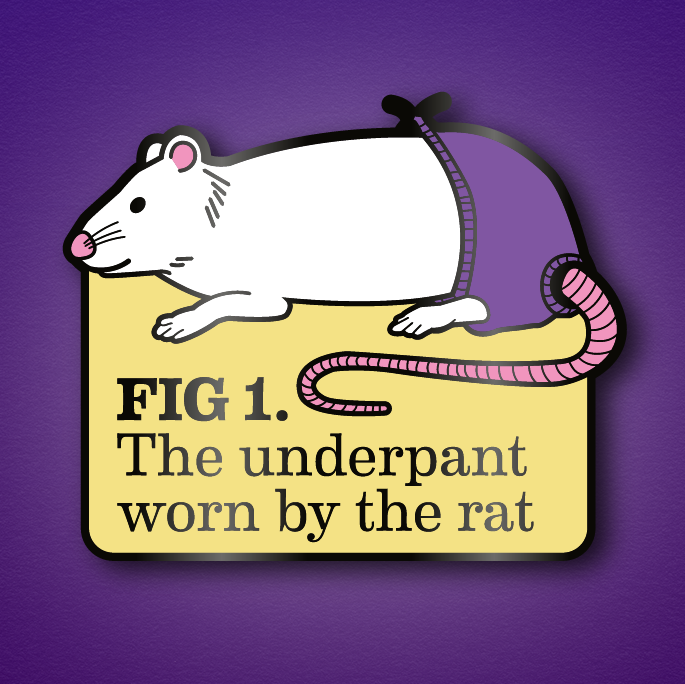 Let's Learn Everything!